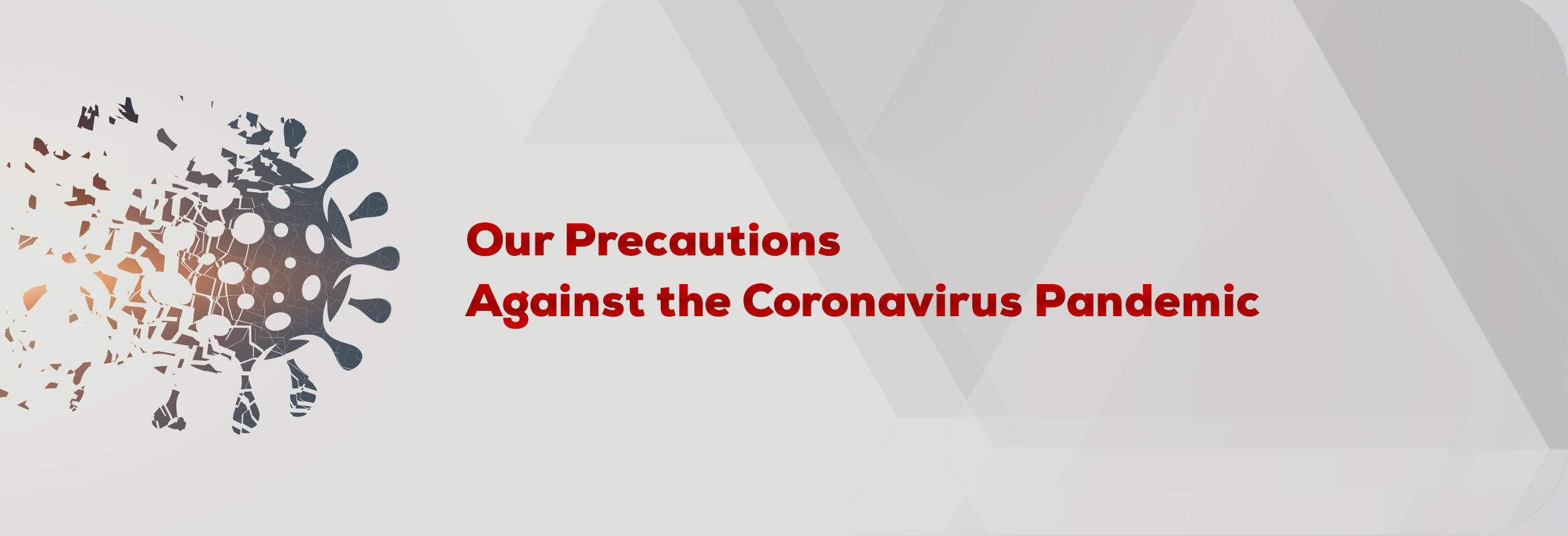 The Fight Against Coronavirus | Kale Kilit